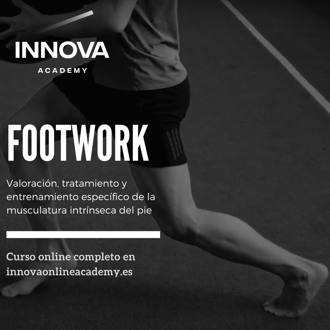 Innova Online Academy – Aula virtual