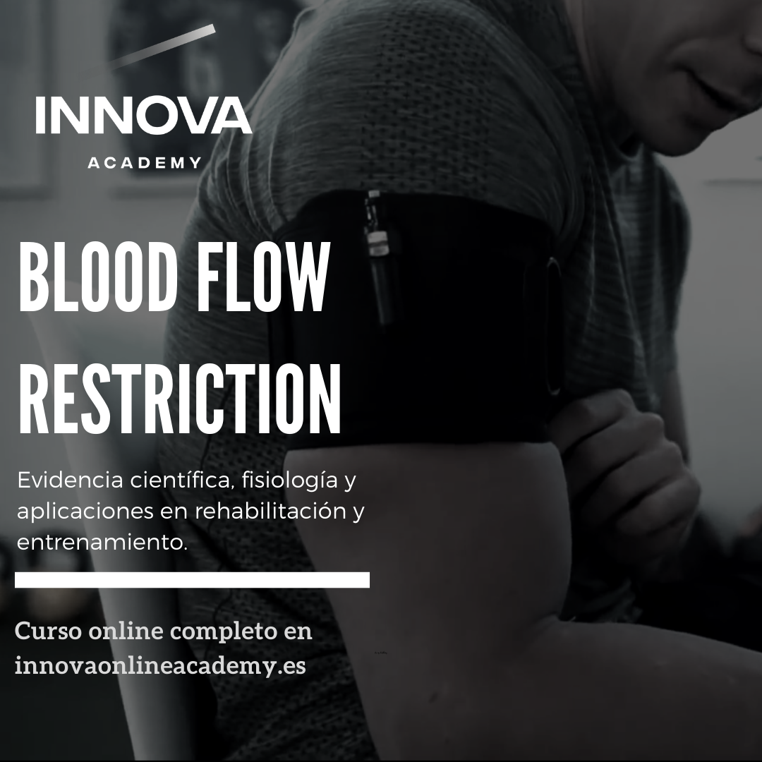 Innova Online Academy – Aula virtual